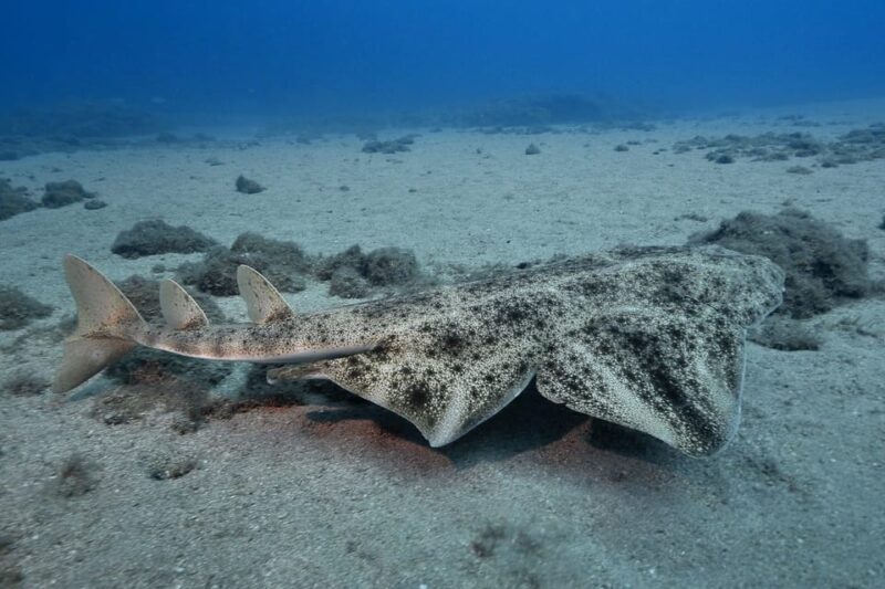 Gran Canaria: 3-Day Open Water Diver Course - The Itinerary Breakdown