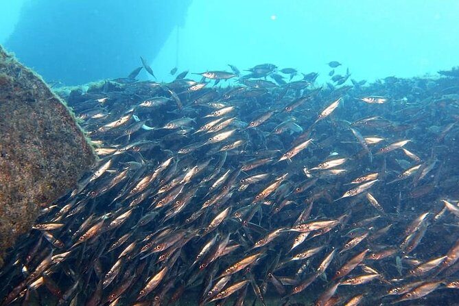 Gran Canaria 3 days / 6 dives in Various Locations - Frequently Asked Questions