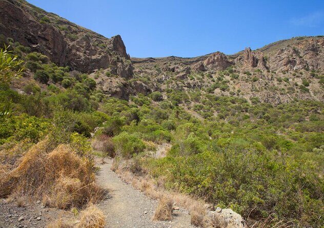 Gran Canaria 7 Highlights Small Group Tour with Tapas Picnic - Key Points