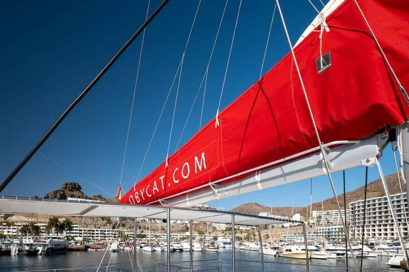 Gran Canaria: All-inclusive tour in the south of Gran Canaria - Who Is This Tour Best For?