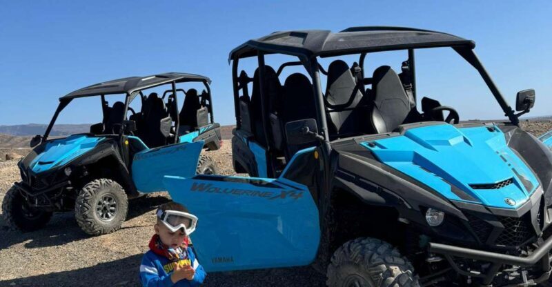 Gran Canaria Buggy tour - Who Should Consider This Tour?
