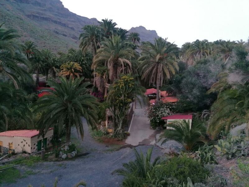 Gran Canaria: Camel Ride at Camel Safari Park - Key Points