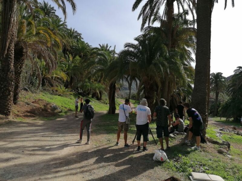 Gran Canaria: Camel Ride at Camel Safari Park - An In-Depth Look at the Camel Safari Park Experience