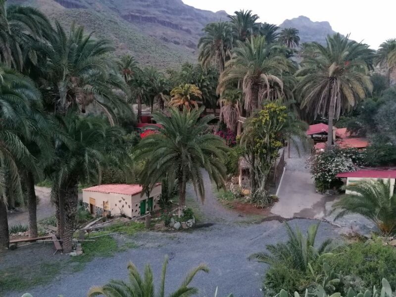 Gran Canaria: Camel Ride at Camel Safari Park - Frequently Asked Questions