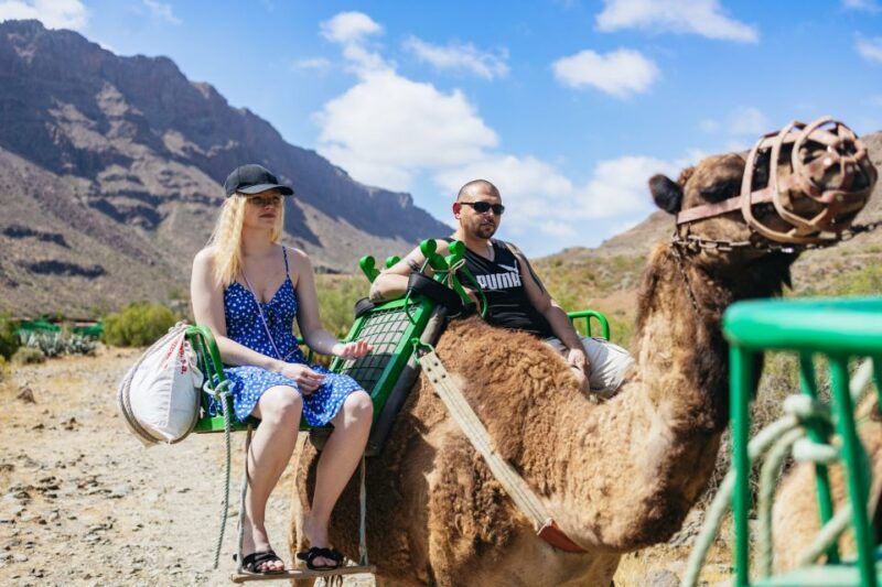 Gran Canaria: Camel Ride Safari w/ Optional Food & Transport - Practical Tips for Travelers