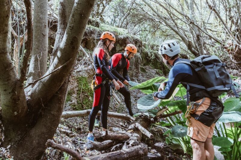 Gran Canaria: Canyoning in the Rainforest - Real Experiences in Reviews