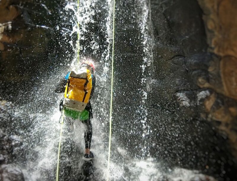 Gran Canaria: Canyoning Trip - Who Should Consider This Tour?