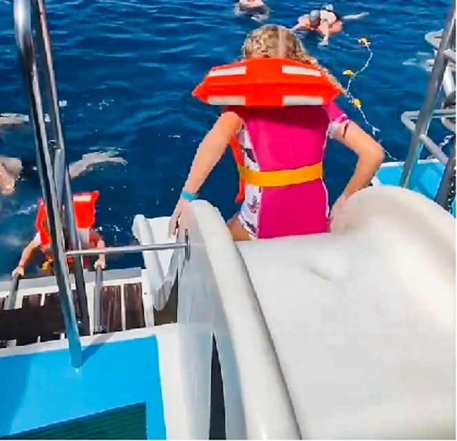 Gran Canaria: Catamaran Dolphin Watch Cruise with Snorkeling - Key Points