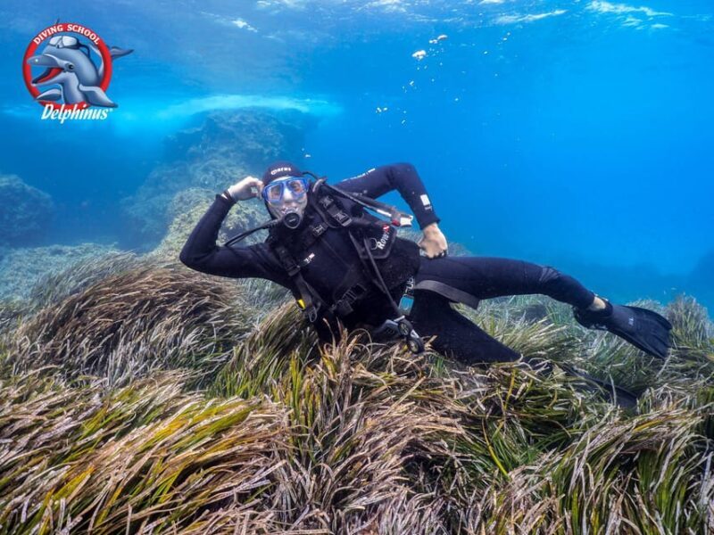 Gran Canaria: Discover Scuba Diving Beginner Program - The Cost and What That Gets You