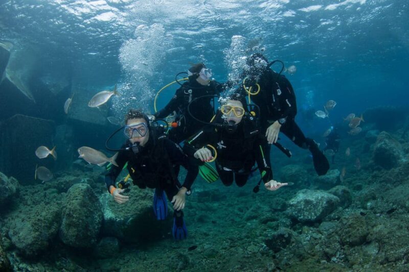 Gran Canaria: Discover Scuba Diving Beginner Program - Breaking Down the Itinerary