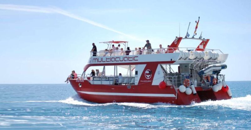 Gran Canaria: Dolphin and Whale Watching Cruise - Exploring the Dolphin and Whale Watching Cruise in Gran Canaria