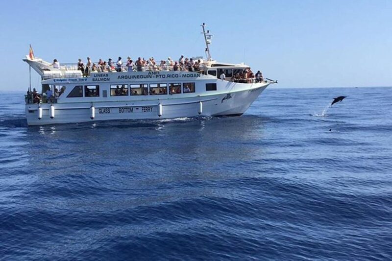 Gran Canaria: Dolphin and Whale Watching Cruise - Introduction