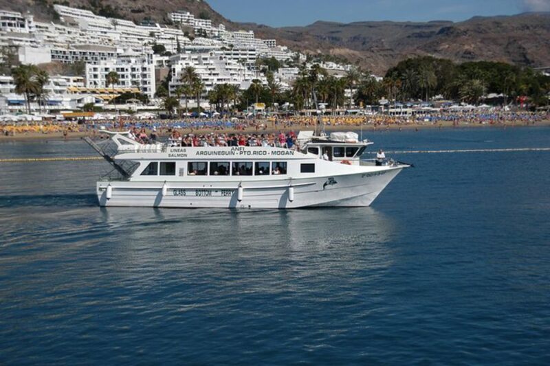 Gran Canaria: Dolphin and Whale Watching Cruise - Who Will Love This Tour?