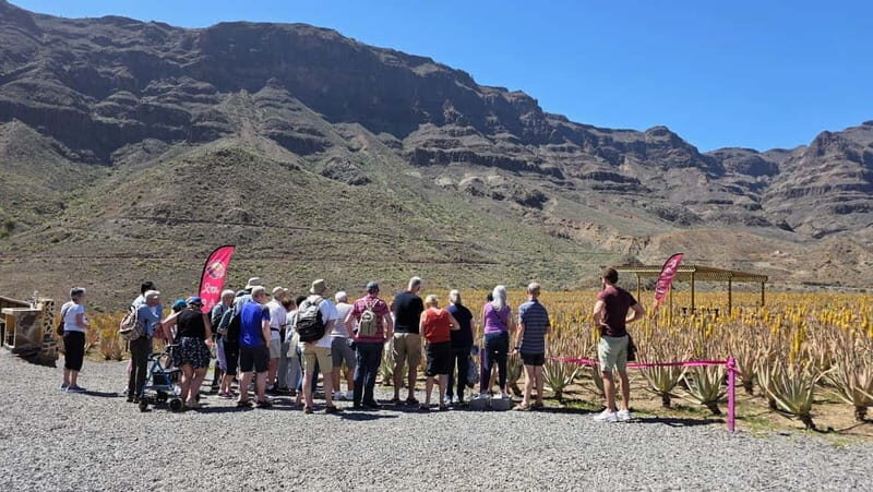 Gran Canaria: Eco Safari 4x4 Tour with Local Guide - FAQs