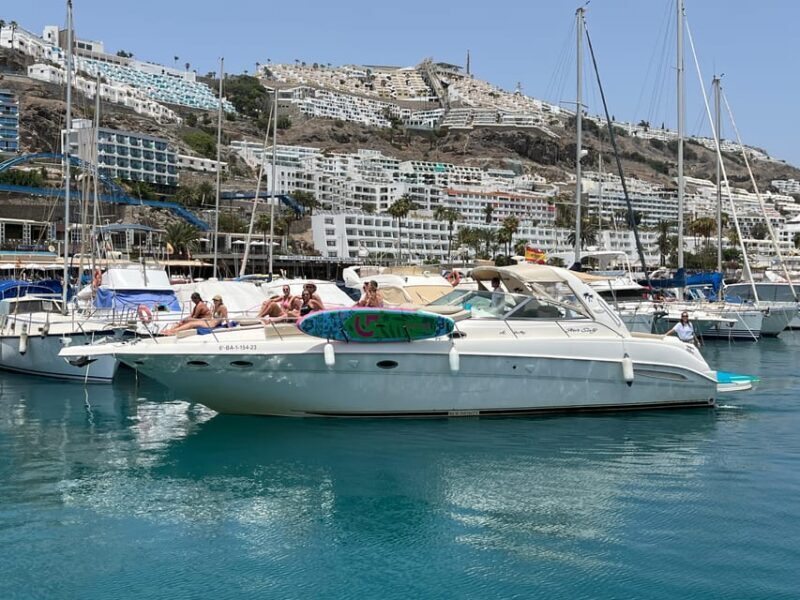 Gran Canaria: Excursion on private yacht with drinks, lunch and snorkeling - Final Thoughts