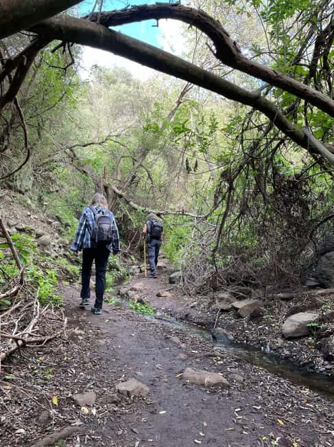 Gran Canaria: excursion to the Barranco de los Cernícalos - An Introduction to the Barranco de los Cernícalos Experience