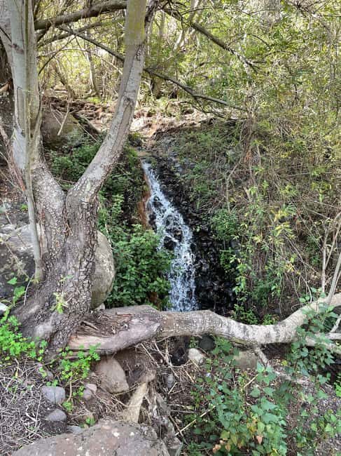 Gran Canaria: excursion to the Barranco de los Cernícalos - The Picnic and Wildlife Encounter