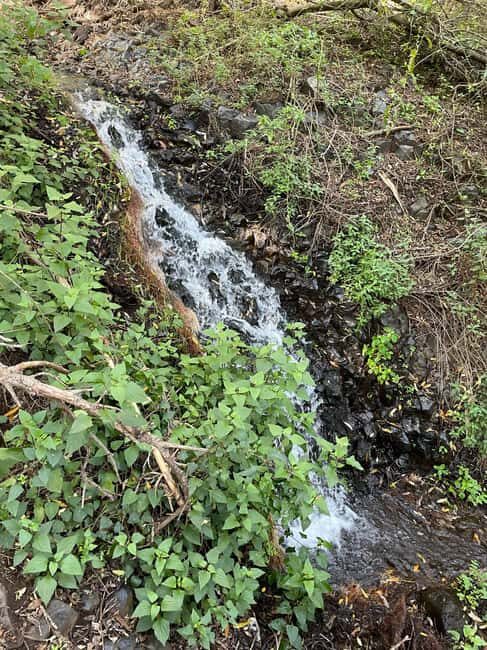 Gran Canaria: excursion to the Barranco de los Cernícalos - Visiting the Village of San Pedro