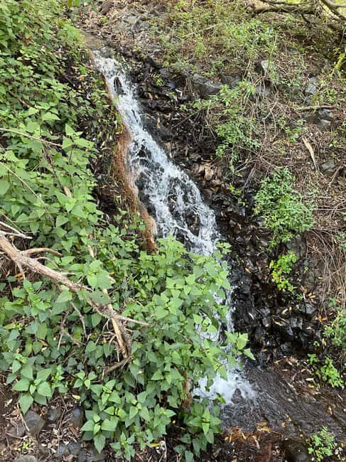 Gran Canaria: excursion to the Barranco de los Cernícalos - Logistics and Practicalities