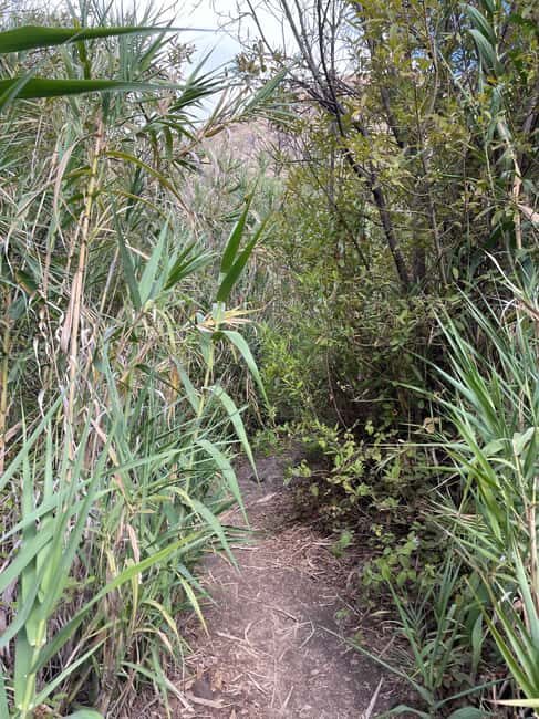 Gran Canaria: excursion to the Barranco de los Cernícalos - Final Thoughts on the Experience