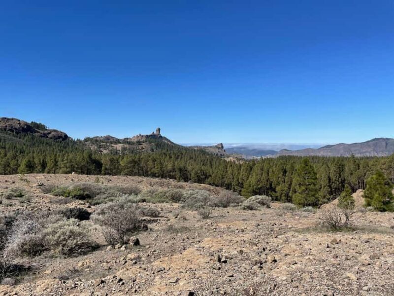 Gran Canaria: excursion to the Ventana del Nublo - Key Points