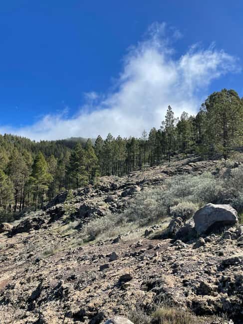 Gran Canaria: excursion to the Ventana del Nublo - An In-Depth Look at the Experience