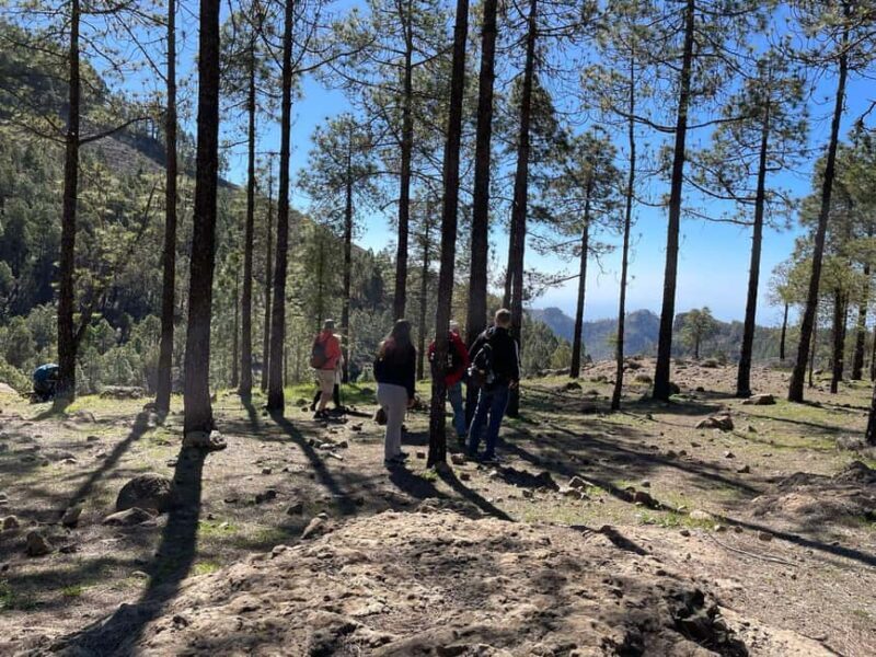Gran Canaria: excursion to the Ventana del Nublo - The Experience Provider