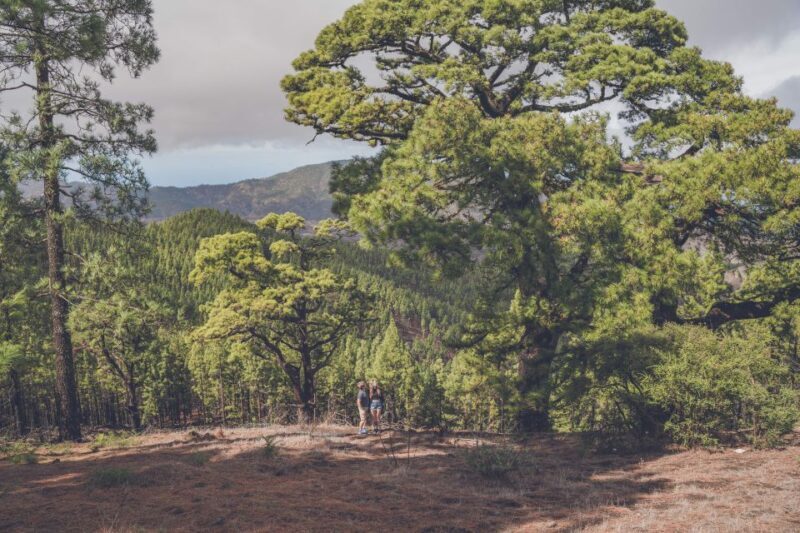 Gran Canaria: Full-Day Customizable Private Photography Tour - The Sum Up