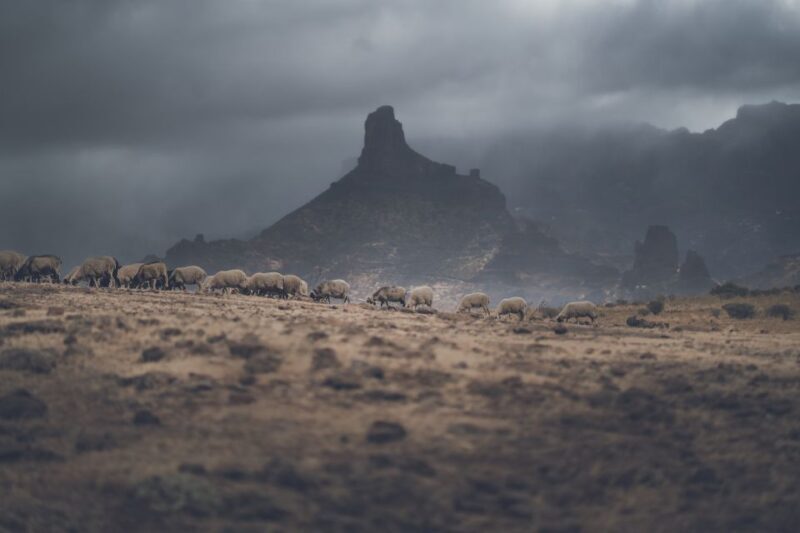 Gran Canaria: Full-Day Customizable Private Photography Tour - FAQs