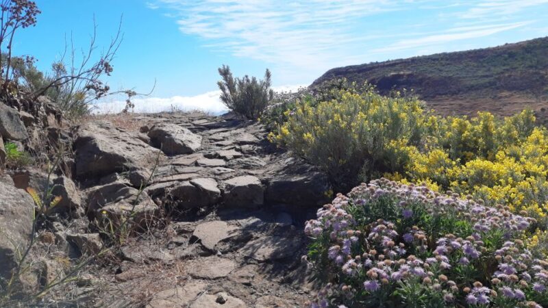 Gran Canaria: Full-Day Guided Hiking With Snacks - An In-Depth Look at the Guided Hiking Experience in Gran Canaria