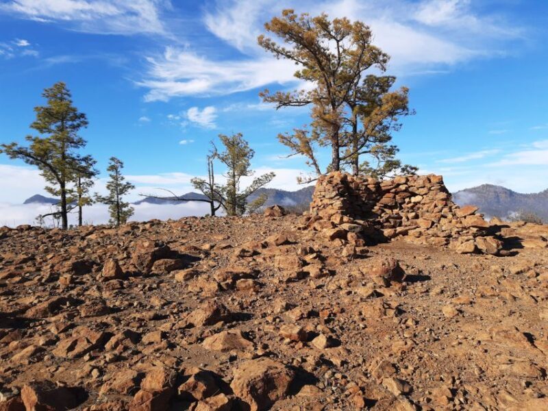 Gran Canaria: Full-Day Guided Hiking With Snacks - Authentic Reviews and What Real Travelers Say