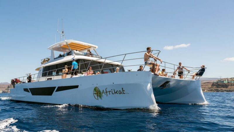 Gran Canaria: Fun Catamaran Cruise with Food and Drinks - Final Thoughts