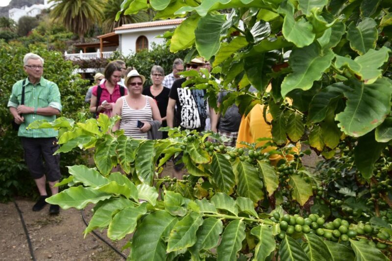 Gran Canaria: Grand Island Tour by Bus with Transfers - FAQ