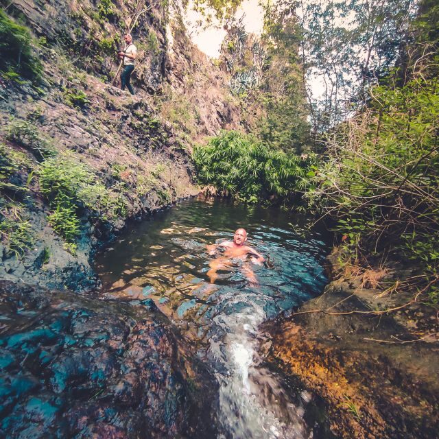 Gran Canaria: Guided Day Tour to Rainforest with Tasting - Authentic Reviews from Past Travelers
