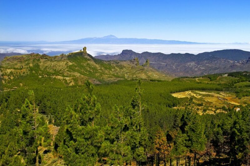 Gran Canaria Highlights Full-Day Tour by Bus - An In-Depth Look at the Experience