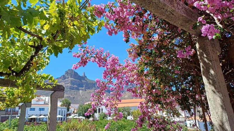 Gran Canaria: Highlights & hidden gems by 2 local guides - What We Loved and What to Keep in Mind