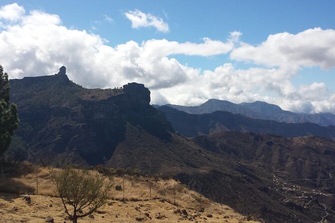 Gran Canaria highlights & hidden gems by 2 native guides - Final Thoughts: Who Will Love This Tour?
