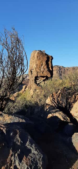 Gran Canaria: Highlights & hidden gems with Sky Rebels - How This Tour Offers Value