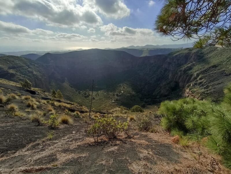 Gran Canaria: Highlights Wine Tasting Tour & shore excursion - Value and Cost Analysis