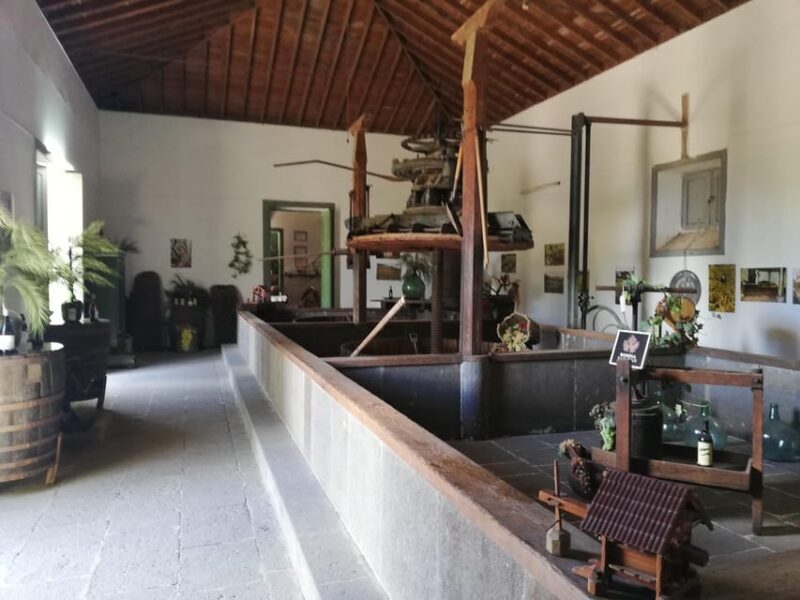 Gran Canaria: Highlights Wine Tasting Tour & shore excursion - The Sum Up
