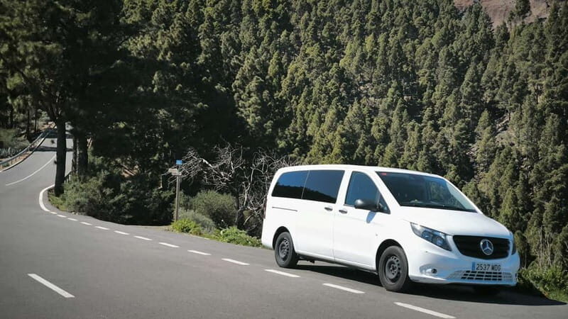 Gran Canaria: Island Highlights Tour with Optional Lunch - What the Reviews Tell Us