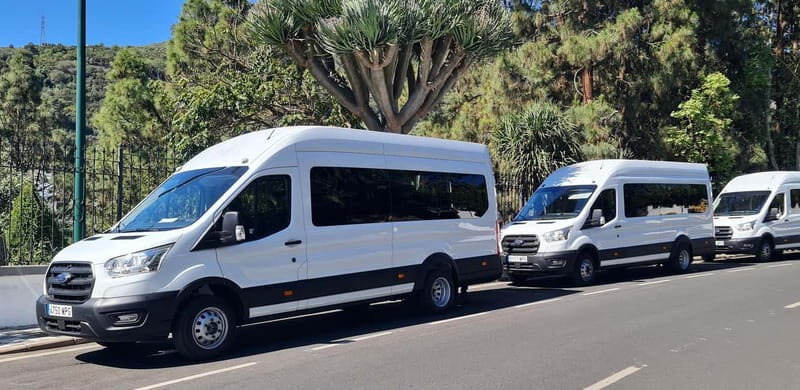 Gran Canaria: Island Highlights Tour with Optional Lunch - The Sum Up