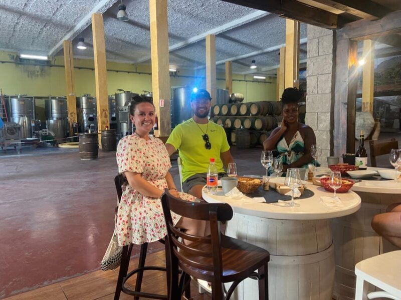 Gran Canaria LET'S GET HIGH!: altitude wines and tapas lunch - Key Points
