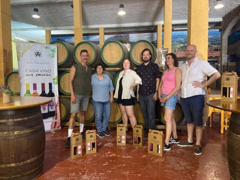 Gran Canaria LET'S GET HIGH!: altitude wines and tapas lunch - High-Altitude Vineyard Experience