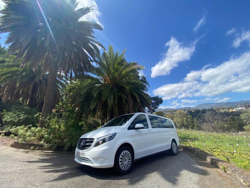 Gran Canaria LET'S GET HIGH!: altitude wines and tapas lunch - Guayadeque Ravine and Cave Lunch