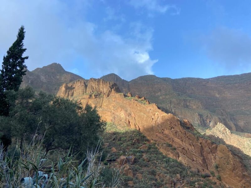 Gran Canaria LET'S GET HIGH!: altitude wines and tapas lunch - Logistics and Practical Details
