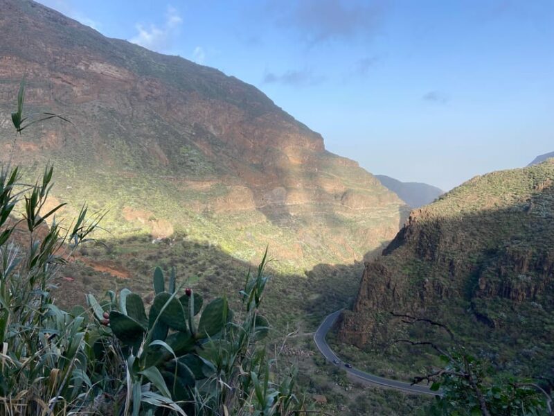 Gran Canaria LET'S GET HIGH!: altitude wines and tapas lunch - The Sum Up