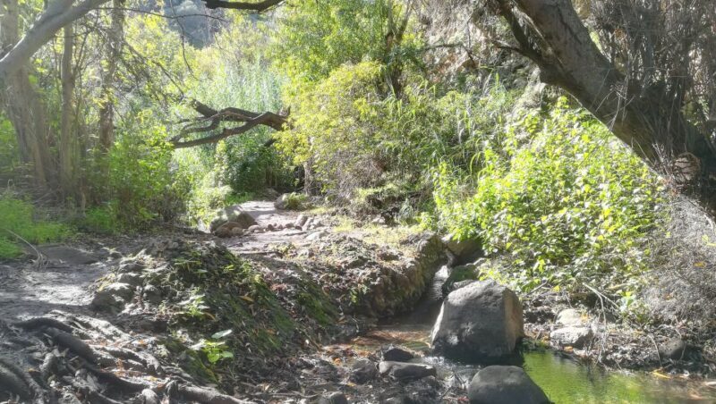 Gran Canaria: "Magic Waterfalls" Hiking Tour - Key Points