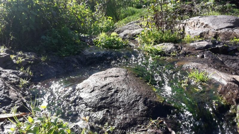 Gran Canaria: "Magic Waterfalls" Hiking Tour - The Sum Up