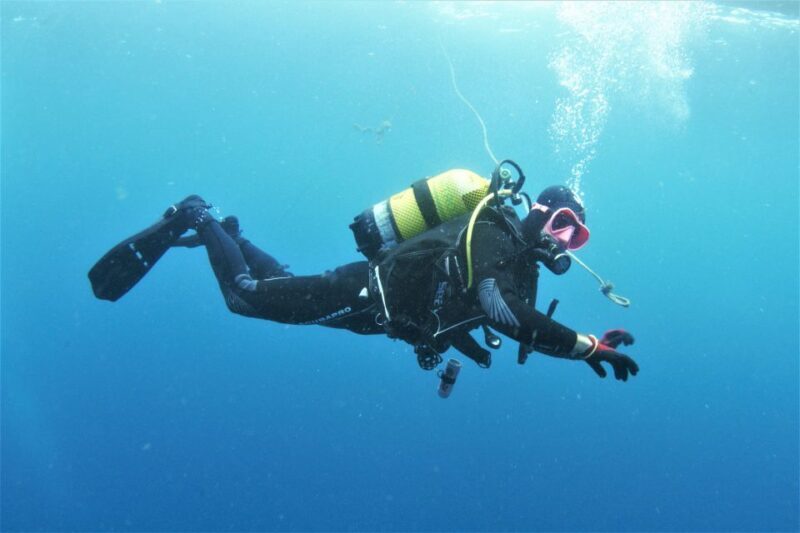 Gran Canaria: Morning Scuba Dive - Key Points